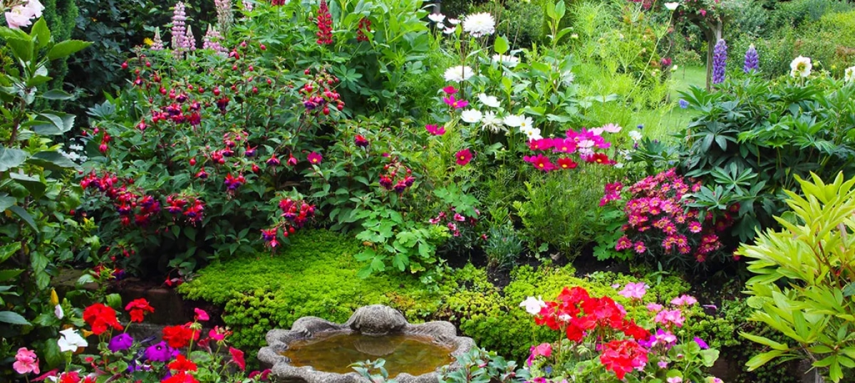 Exploring Sydney's Diverse Landscaping Styles for Your Dream Garden